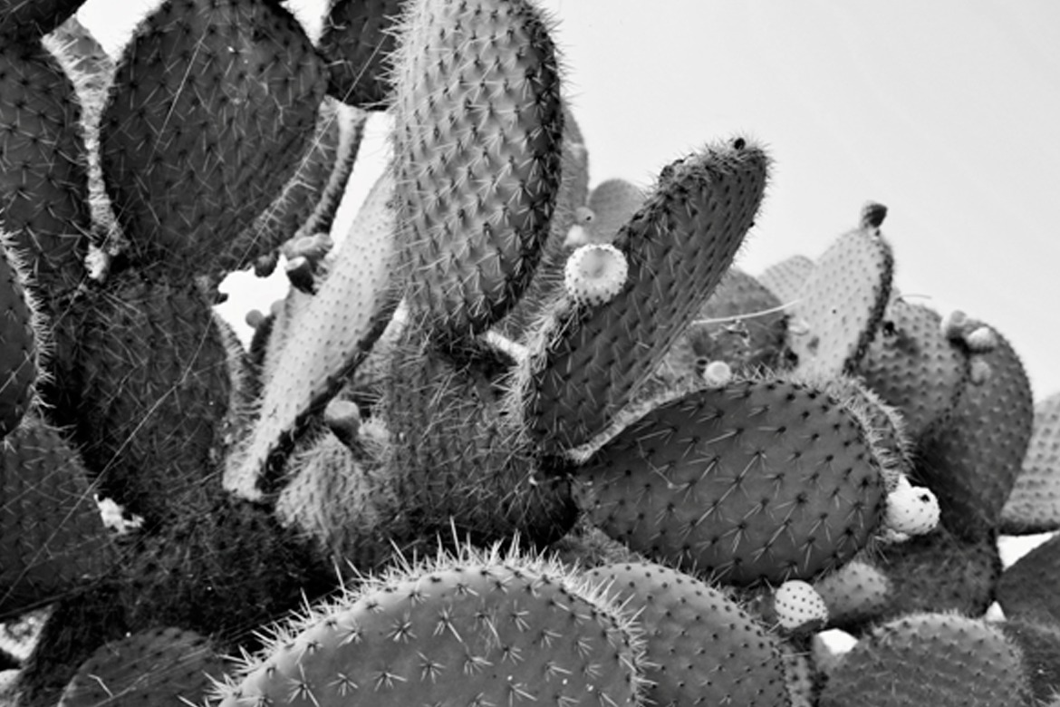 Poemas de Carlos Israel Godínez Valtierrez – Revista Literaria Monolito